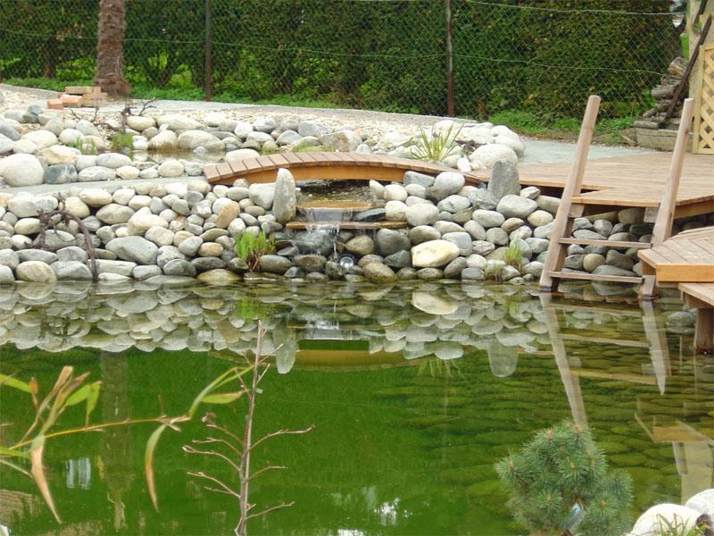 Schwimmteich Naturpool Biotop Technik Ratzesberger Gmbh Teichbau